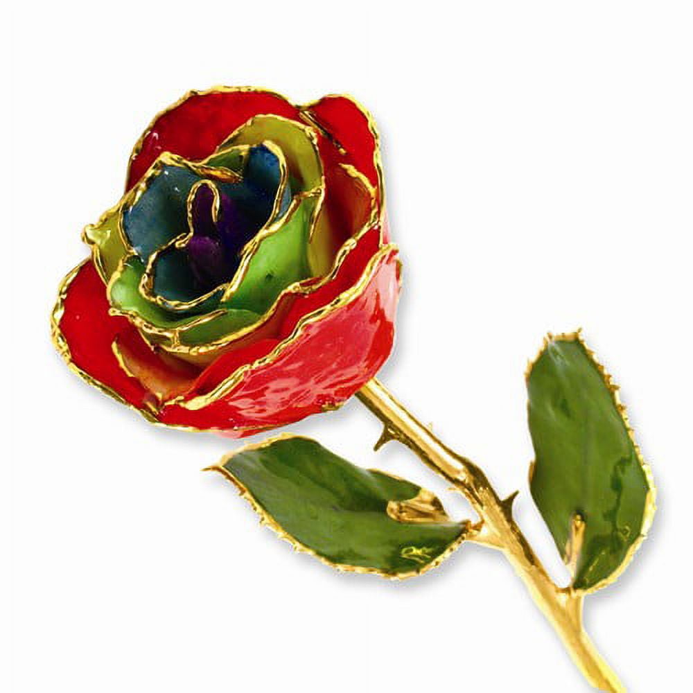 24k Gold Plated Trim Gypsy Rainbow Rose - Walmart.com