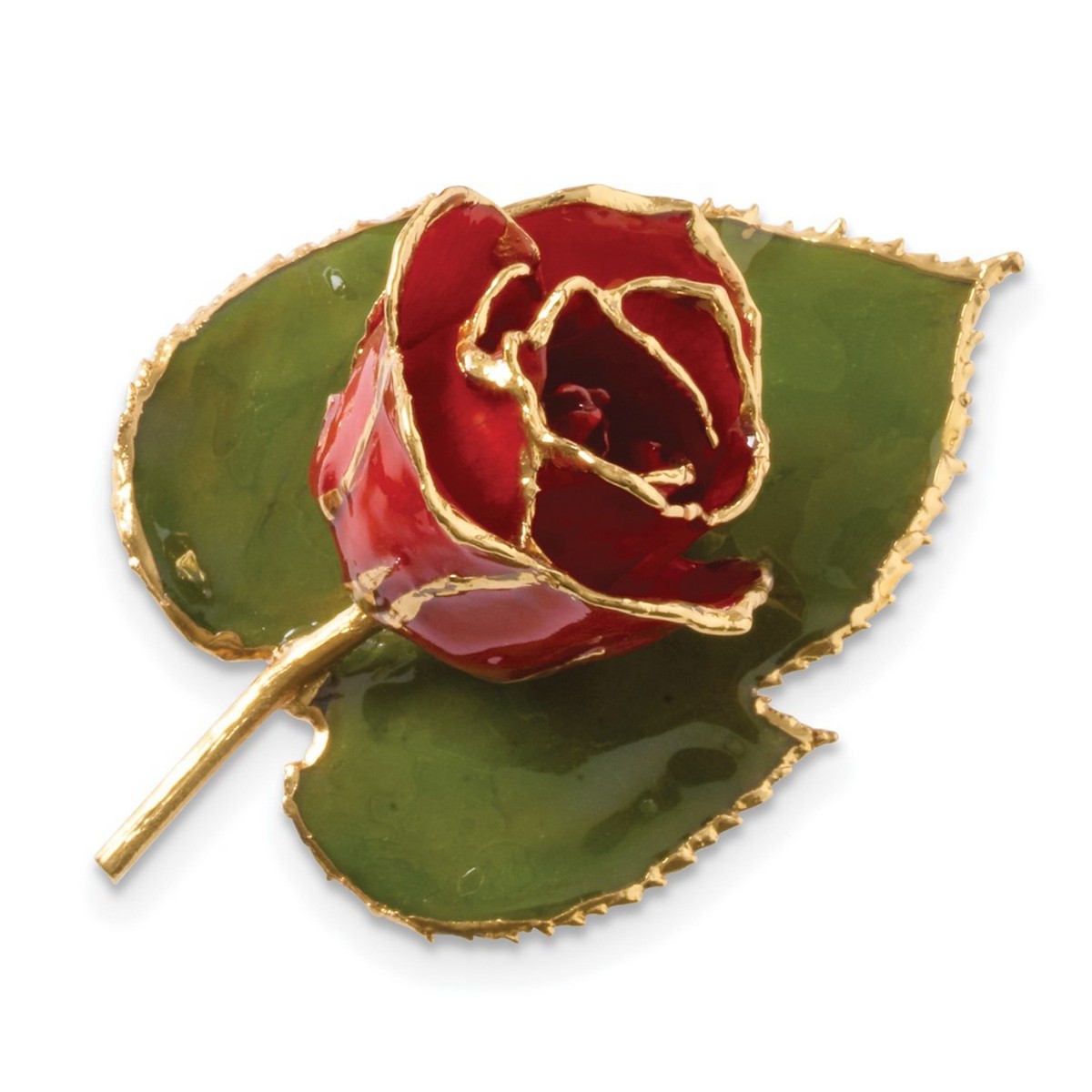 24k Lacquered finish Gold Trim Red Rose Brooch Pin Measures 76x58mm ...