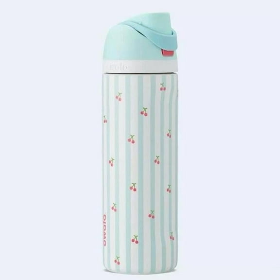 Insulated Water Bottle - On-The-Go Refillable Stainless Steel Water ...