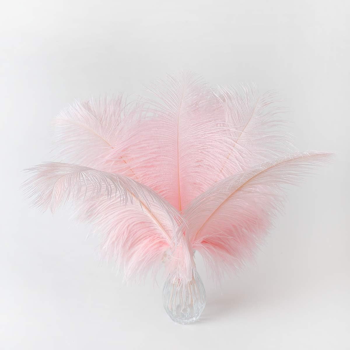 24pcs Natural Light Pink Ostrich Feathers 10-12inch (25-30cm) for ...