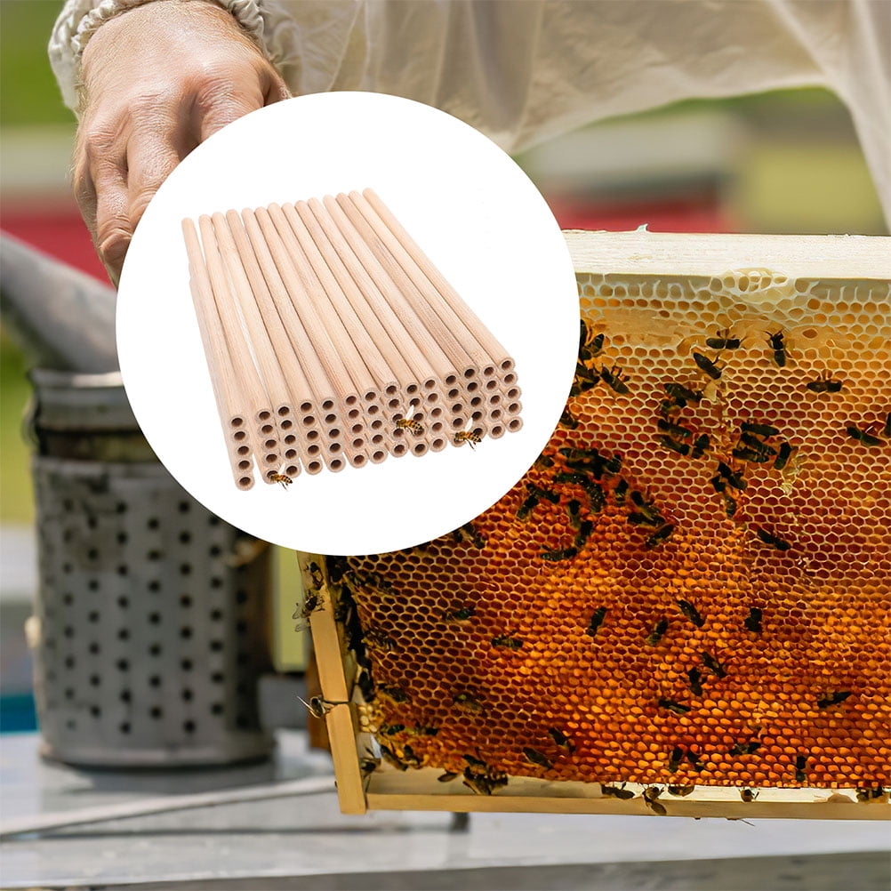 24pcs Replacement Bee Tubes Bamboo Nesting Tubes for Beehive - Walmart.com