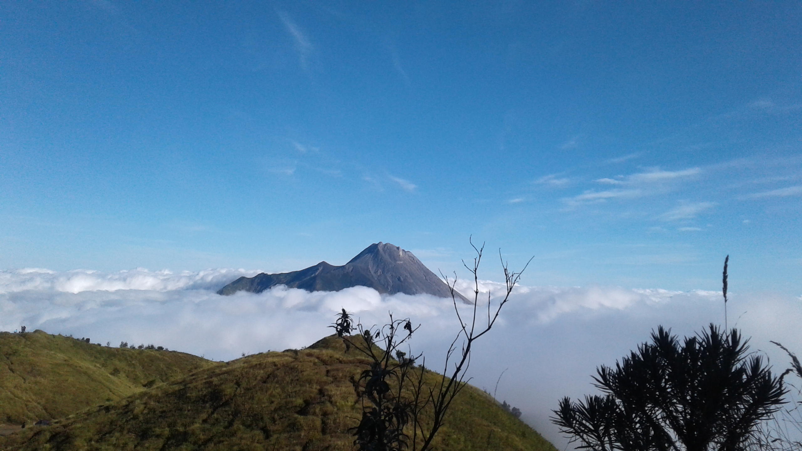 24x13in Puncak Merapi dari Sabana Merbabu, Indonesia 【Photo Paper ...