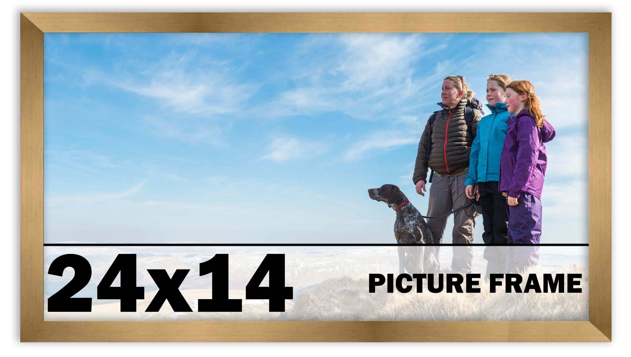 24x14 Frame Gold Bronze Modern Solid Wood Picture Frame | 0.75 Inch ...