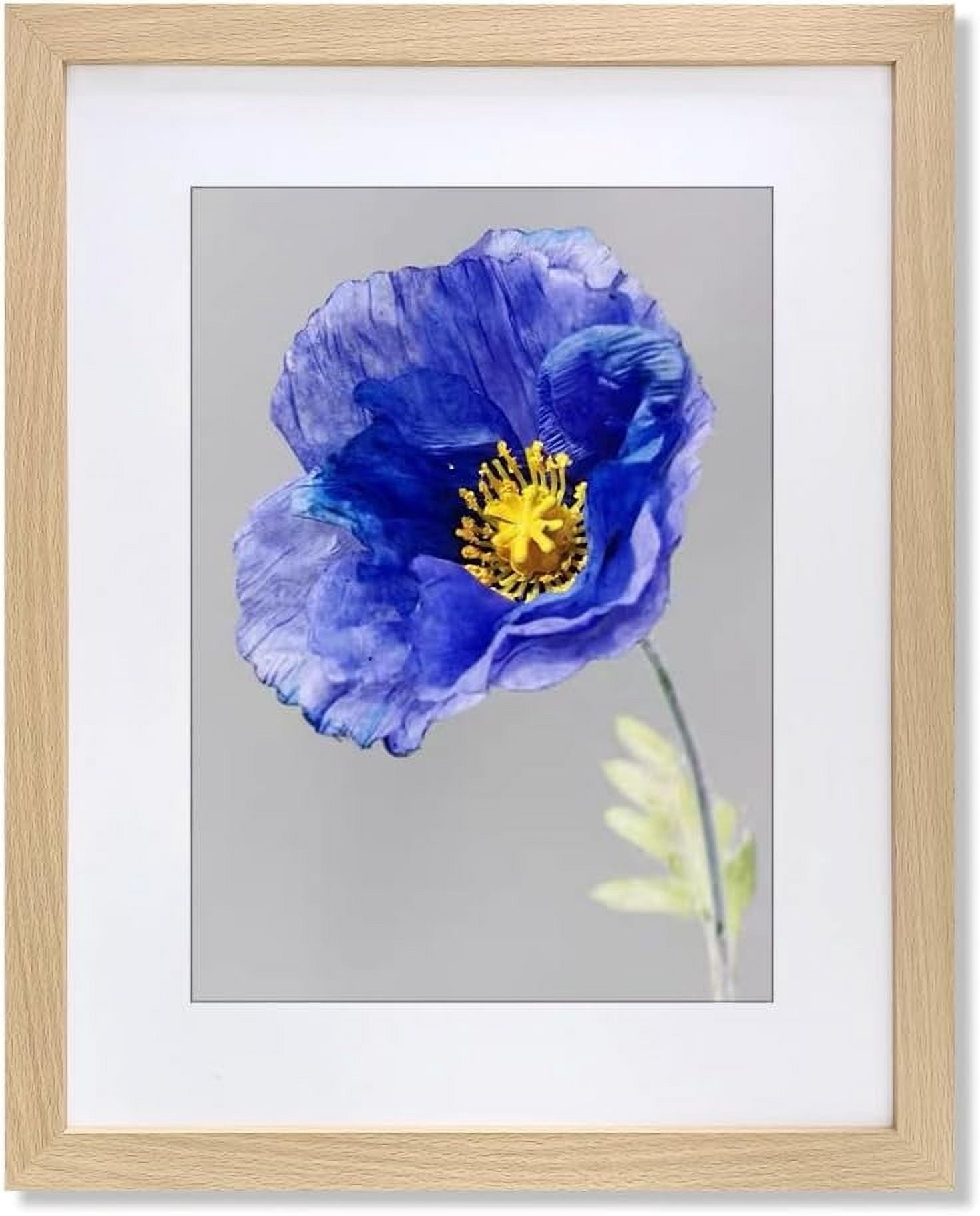 24x24 Frame White, Perfect for 24x24 Inch Picture without Mat or 20x20 ...