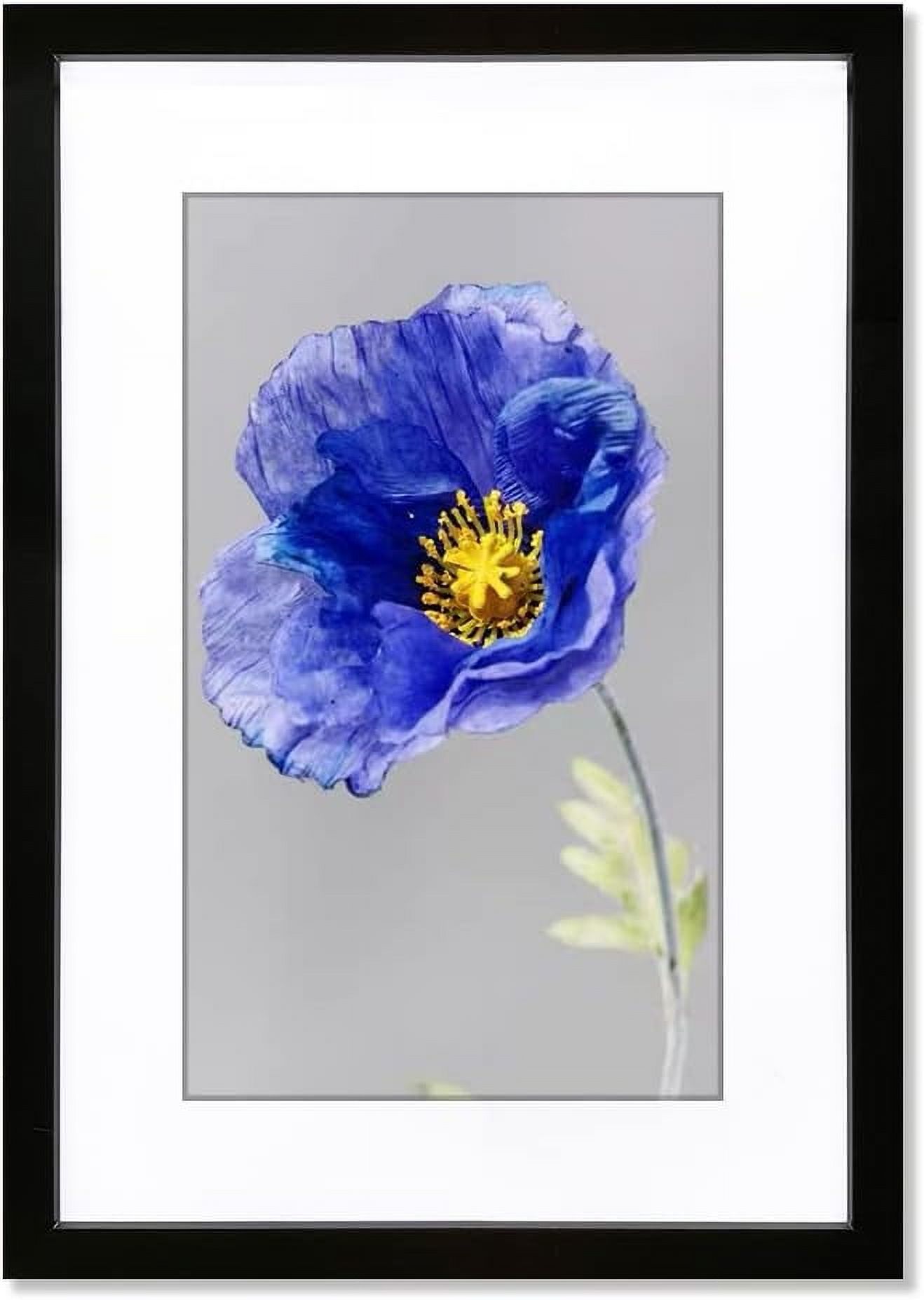 24x24 Frame White, Perfect for 24x24 Inch Picture without Mat or 20x20 ...