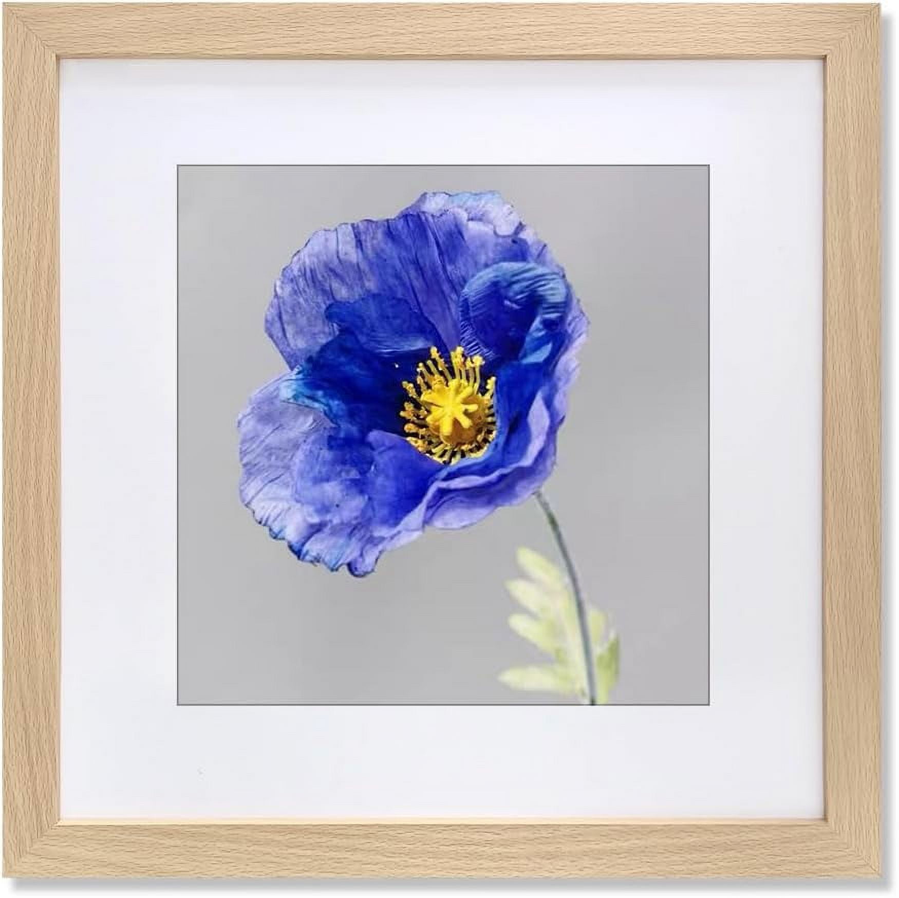 24x24 Frame White, Perfect for 24x24 Inch Picture without Mat or 20x20 ...