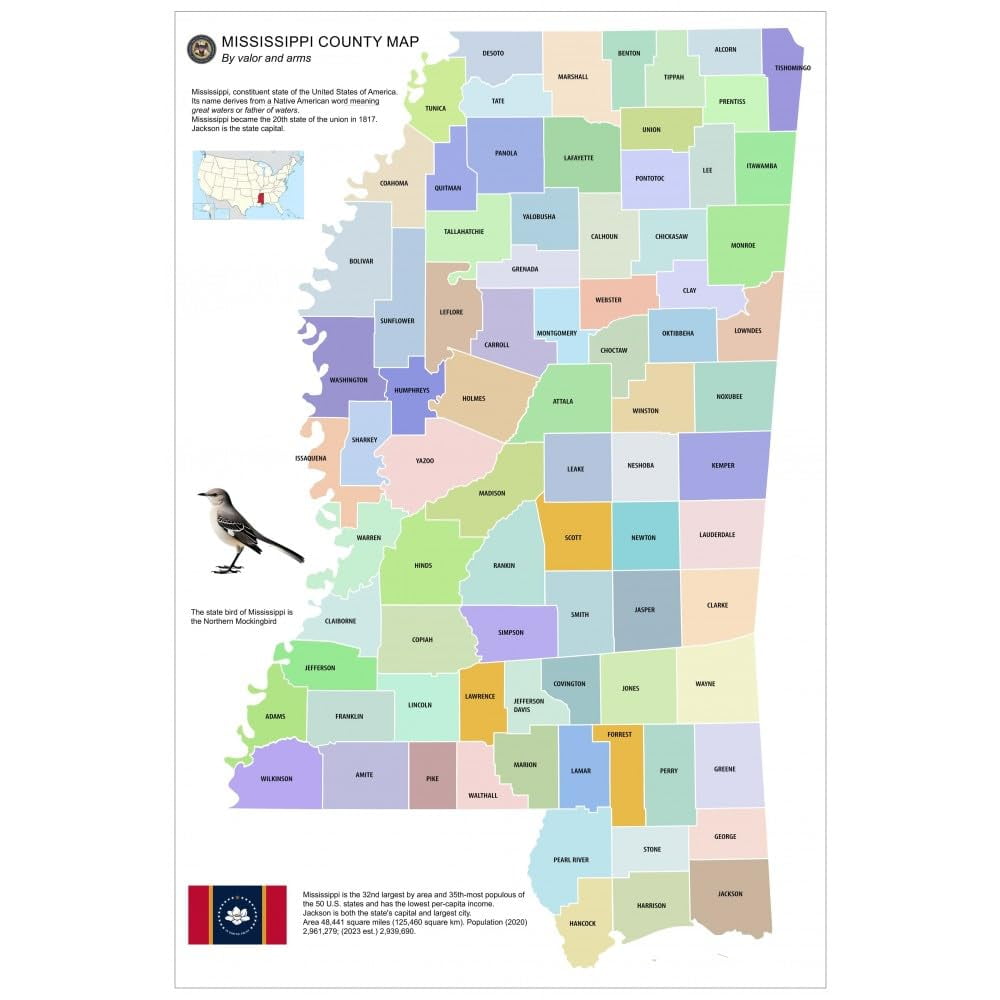 Wall Art Impressions 24x36in Vibrant Mississippi County Map Poster A ...