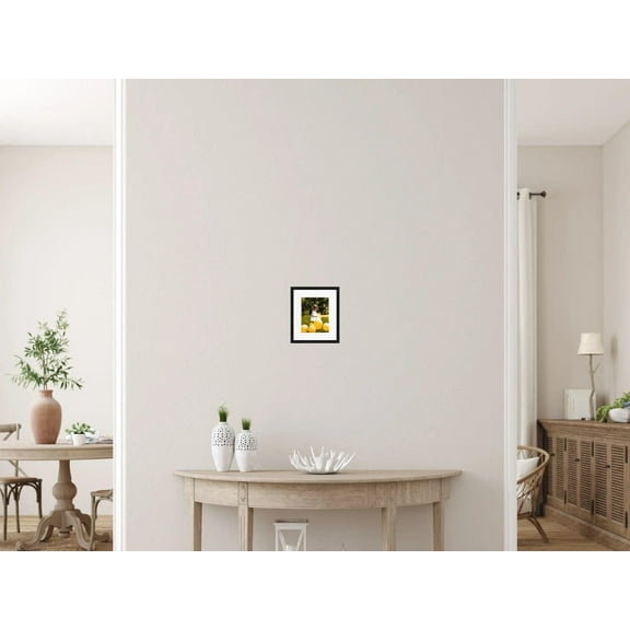 24x36 Mat Frame