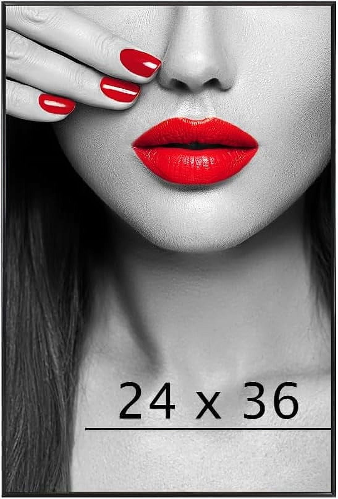 Plexon Products Black 24x36 Poster Frame with Thin 14mm Moldings ...