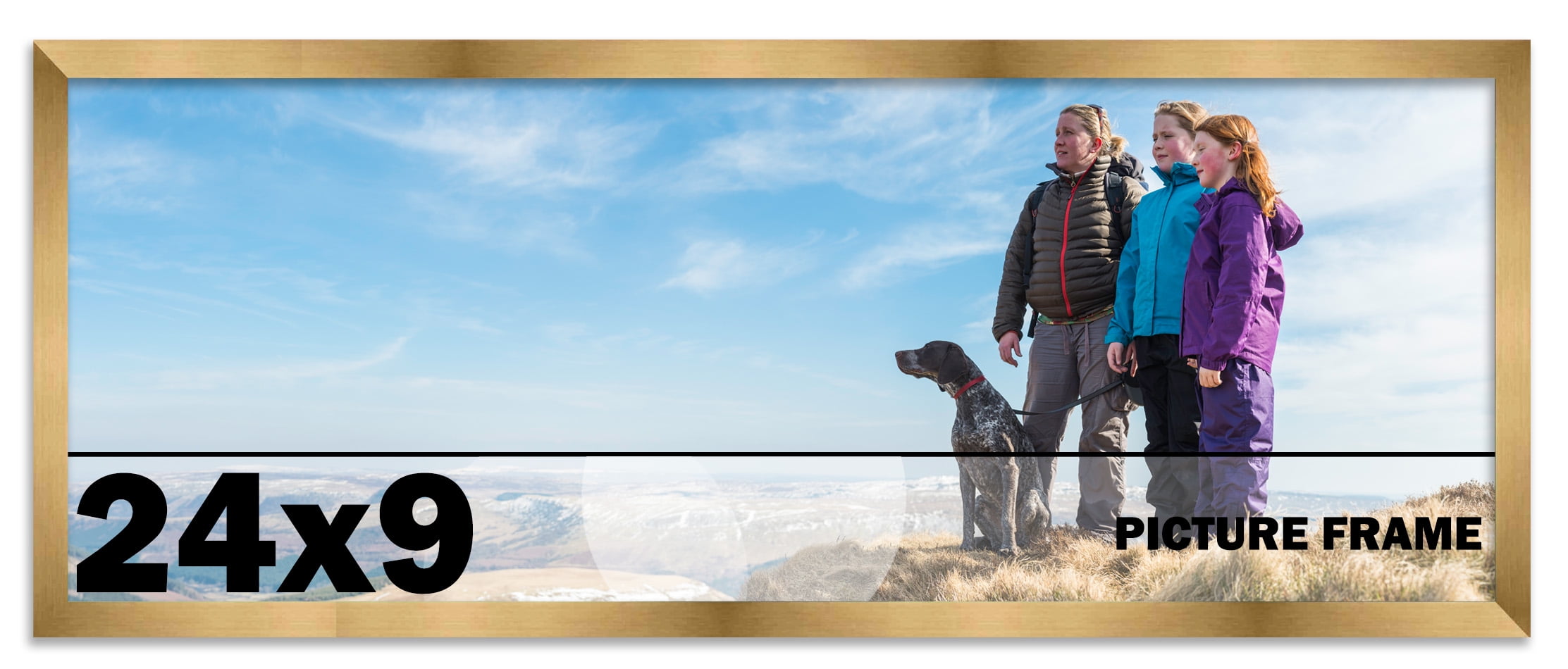 24x9 Frame Gold Bronze Modern Solid Wood Picture Frame | 0.75 Inch ...