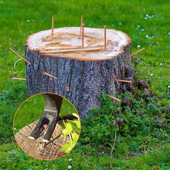 25/20/15Pcs 4Inch Copper Nails For Killing Trees Stump Root Stump ...