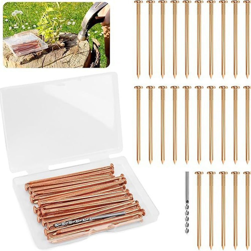 25/20/15Pcs 4inch Copper Nails For Killing Trees Stump Root Stump ...