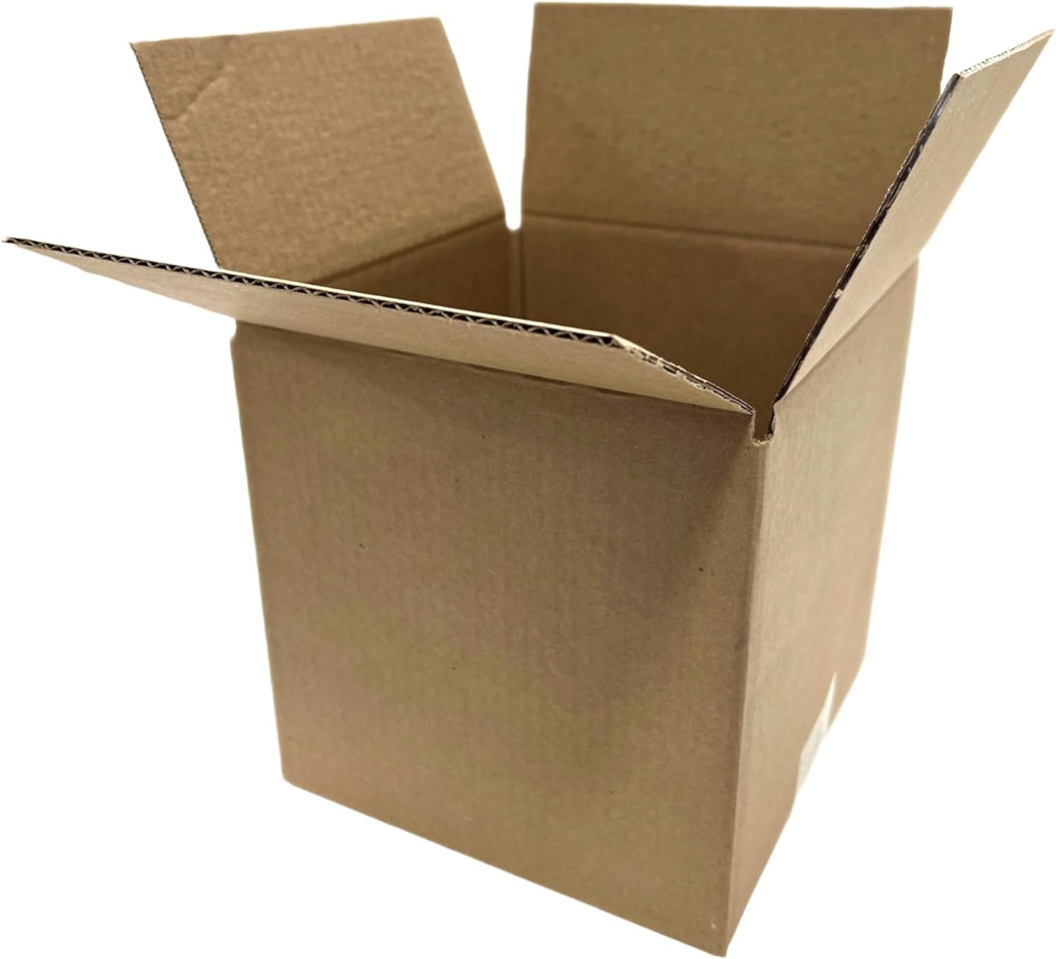 Polar Tech Thermo Chill Insulated Small Carton and Foam Shipper, 6"x5 ...