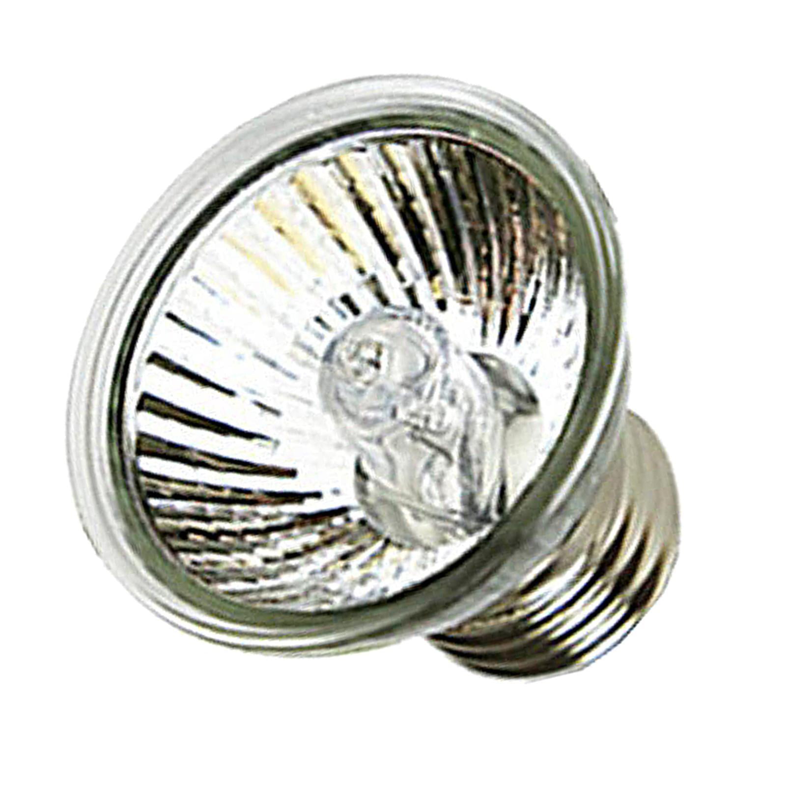 25/50W Reptile Lamp ing Clip Holder Fixture Basking Bulbs Pet 50W Bulbs ...