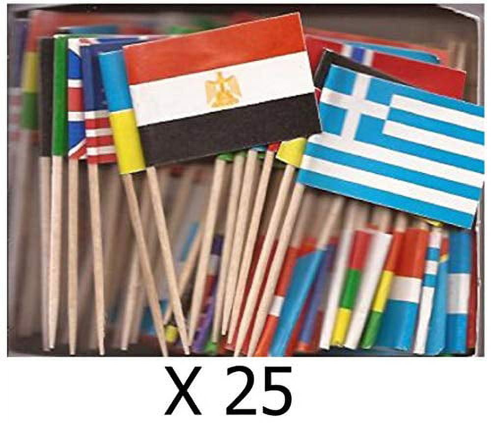 25 Boxes of Assorted Miniature World Toothpick Flags,2500 Small Mini ...