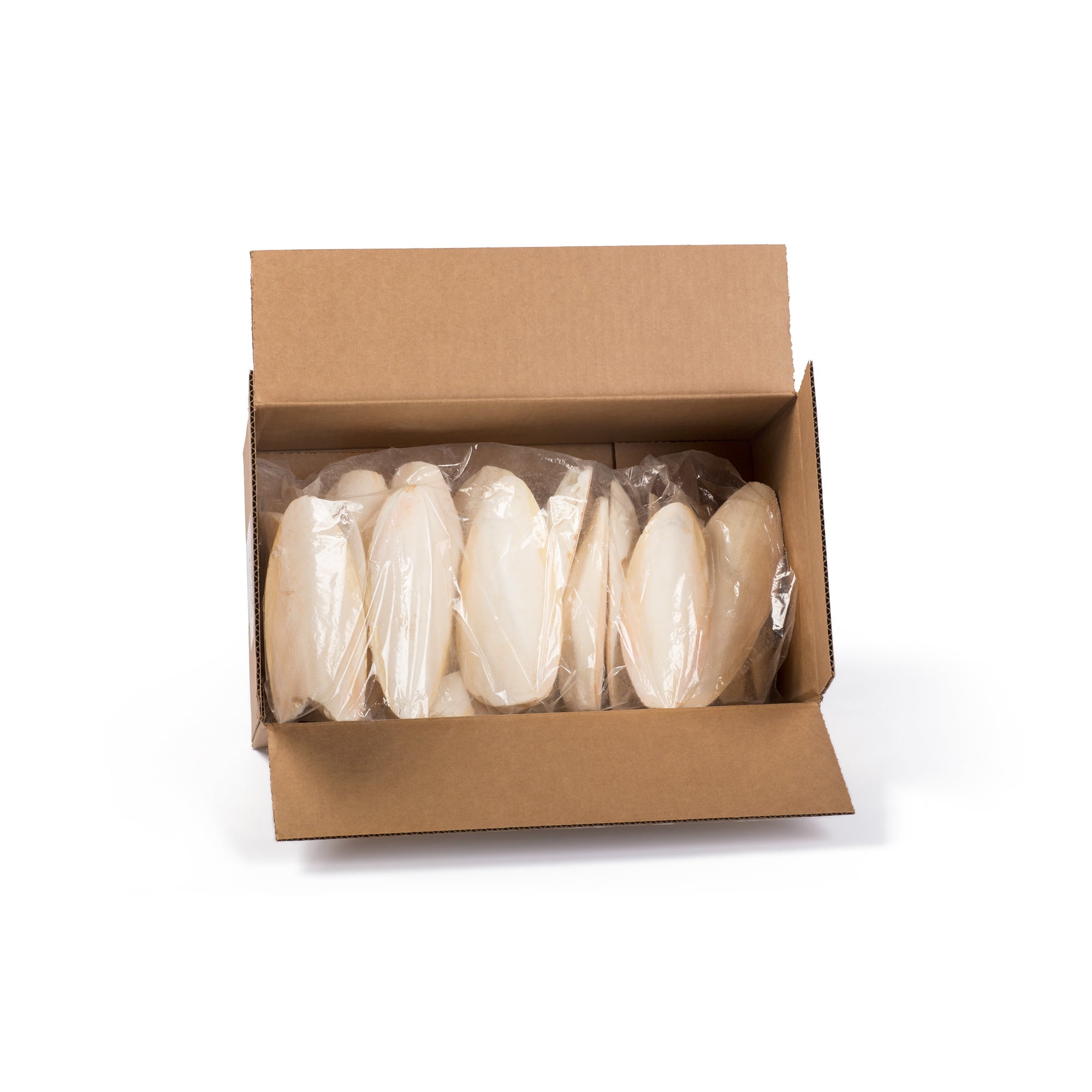 Prevue Pet Products 6-inch Cuttlebone (Bulk) / 25pc box - Walmart.com