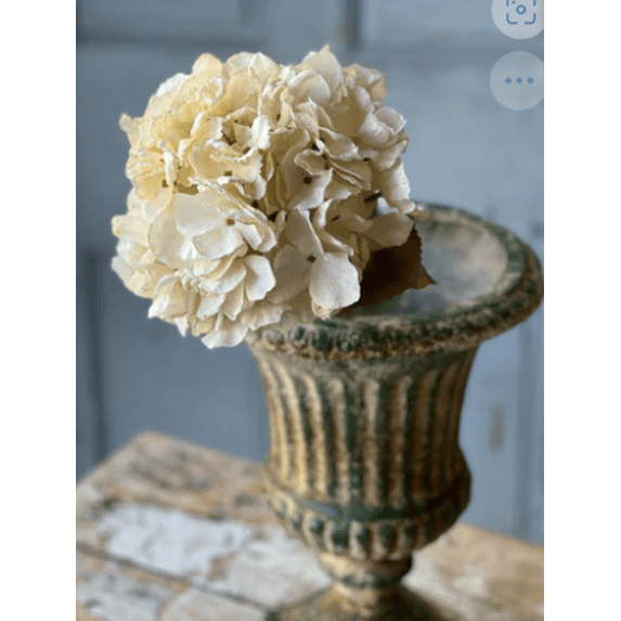25" Empire Hydrangea Cream - Walmart.com