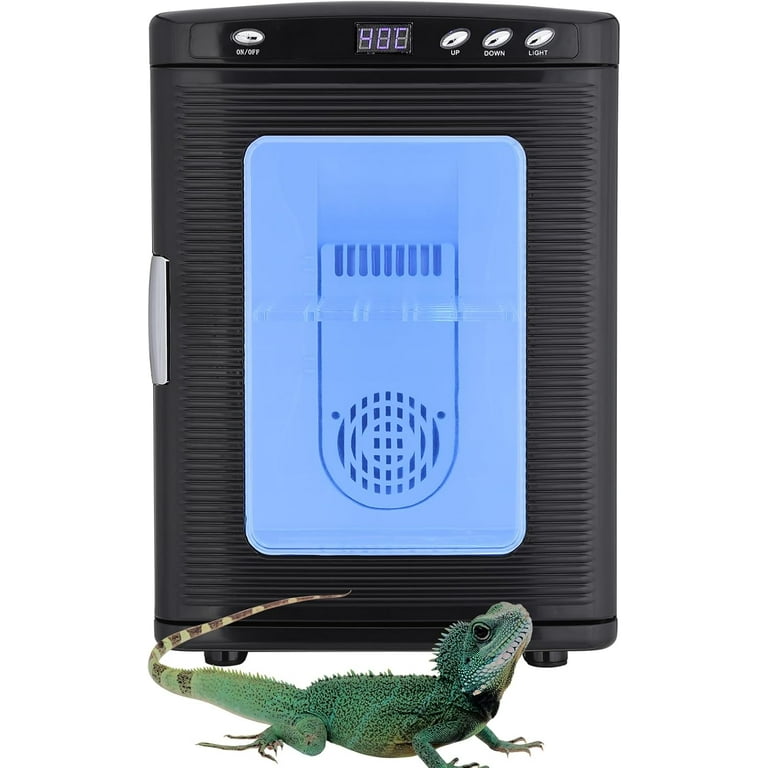 lizard eggs hatching temperature