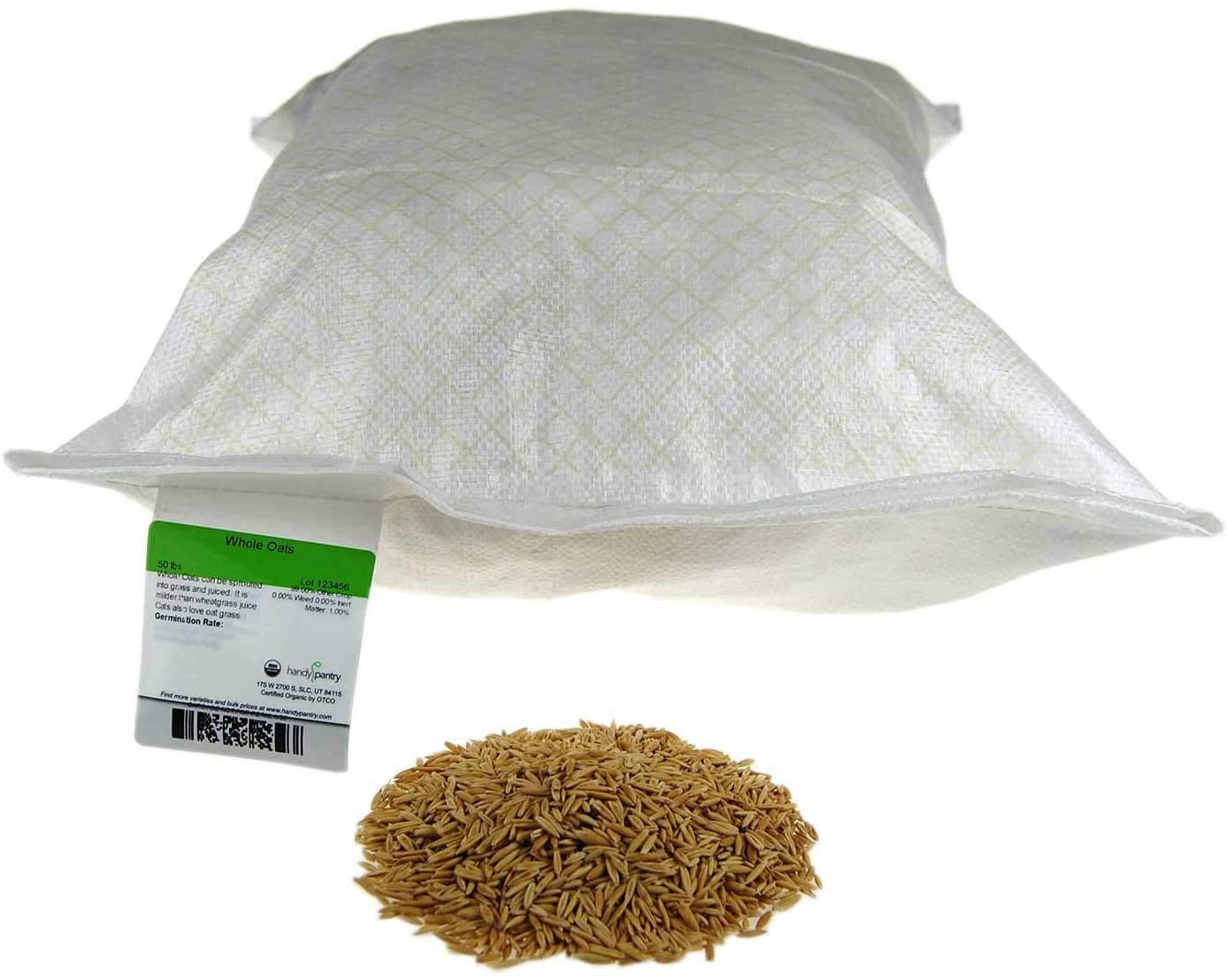 25 Lb Bulk Non-GMO Organic Whole Oat Groats (w/ Husk) - Gluten Free ...