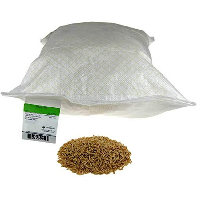 25 Lb Bulk Non-GMO Organic Whole Oat Groats (w/ Husk) - Gluten Free ...