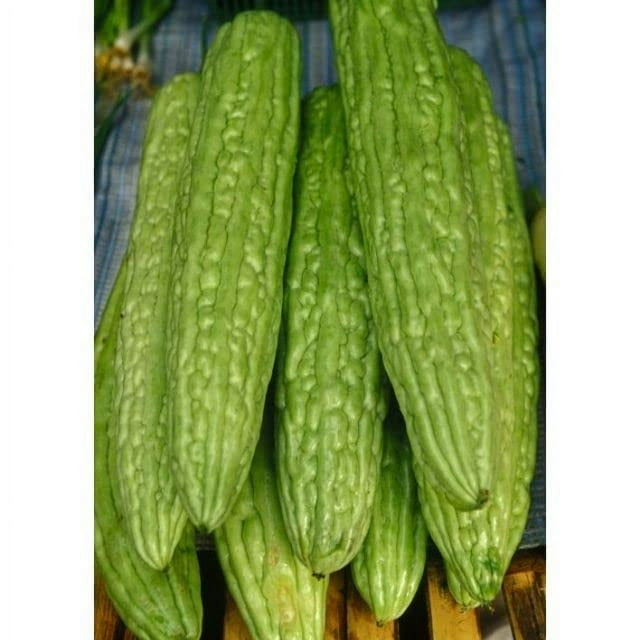 25 Long Bitter Melon Seeds - MTN1 Khổ Qua Mỡ Dài - Up to 16 inches Fast ...