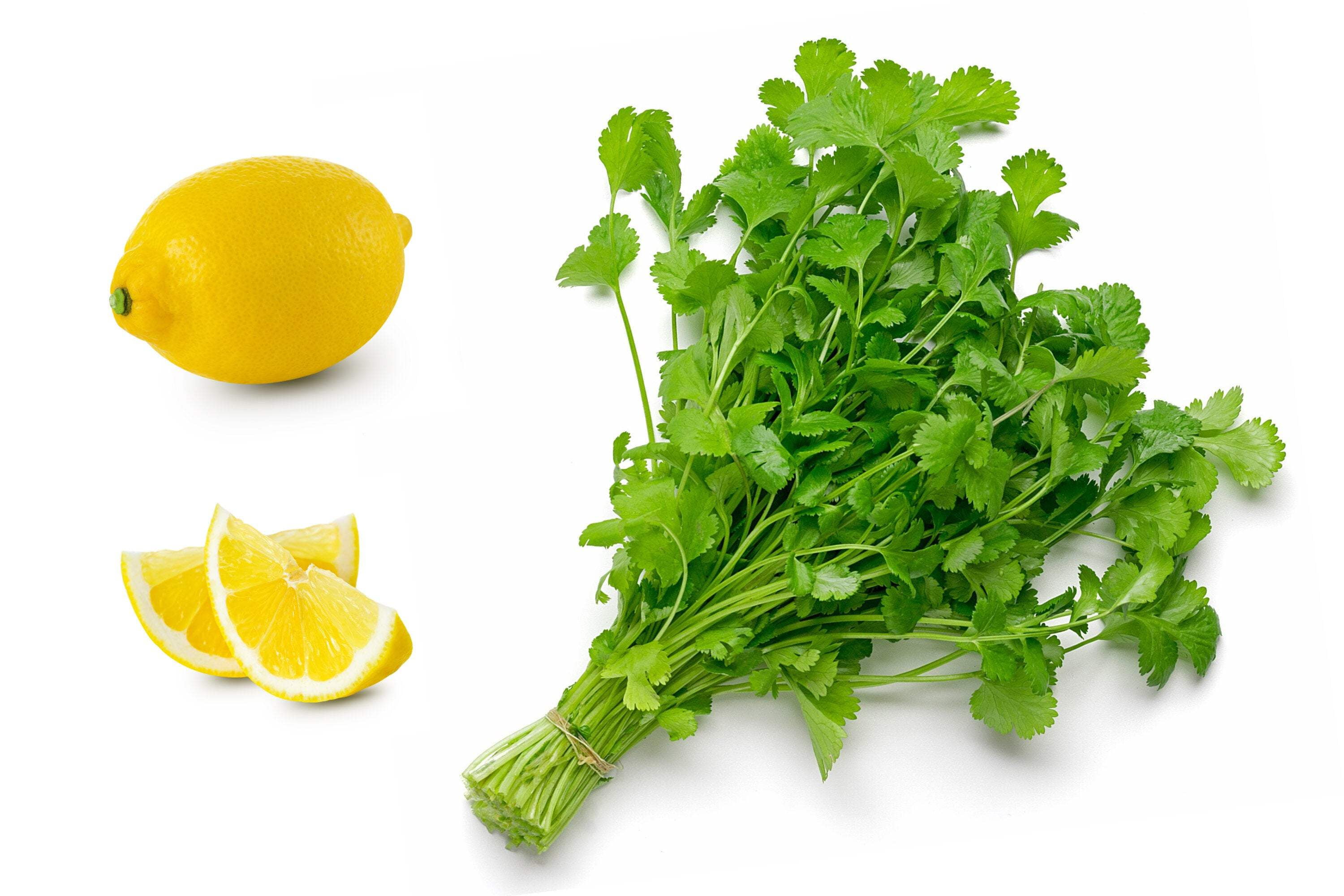 25 Organic DWARF LEMON CILANTRO Coriander Spice Coriandrum Sativum ...