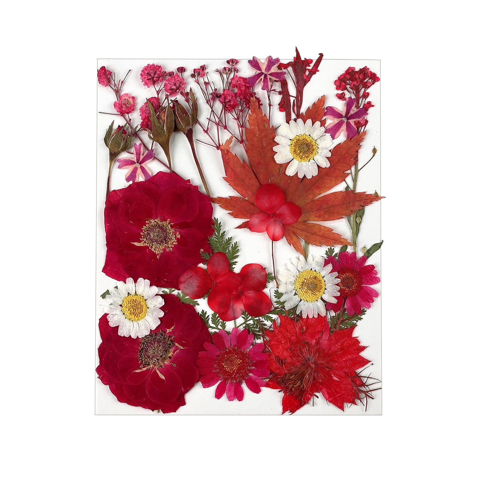 25 PCS Dried Flowers Butterfly Stickers for Crafts Real Natural Pressed ...