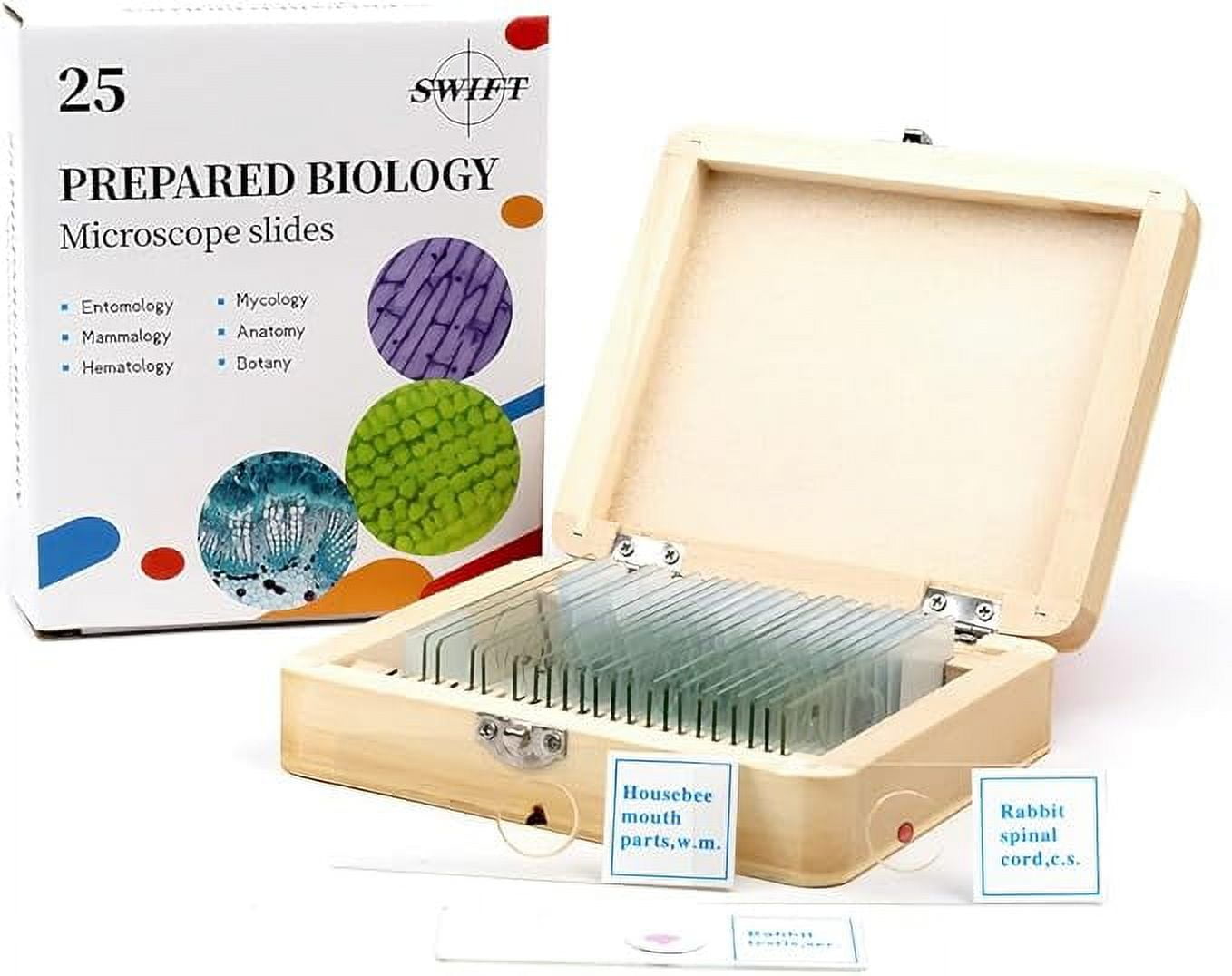 25 PCS Prepared Premade Microscope Slide Set with Specimen for Basic ...
