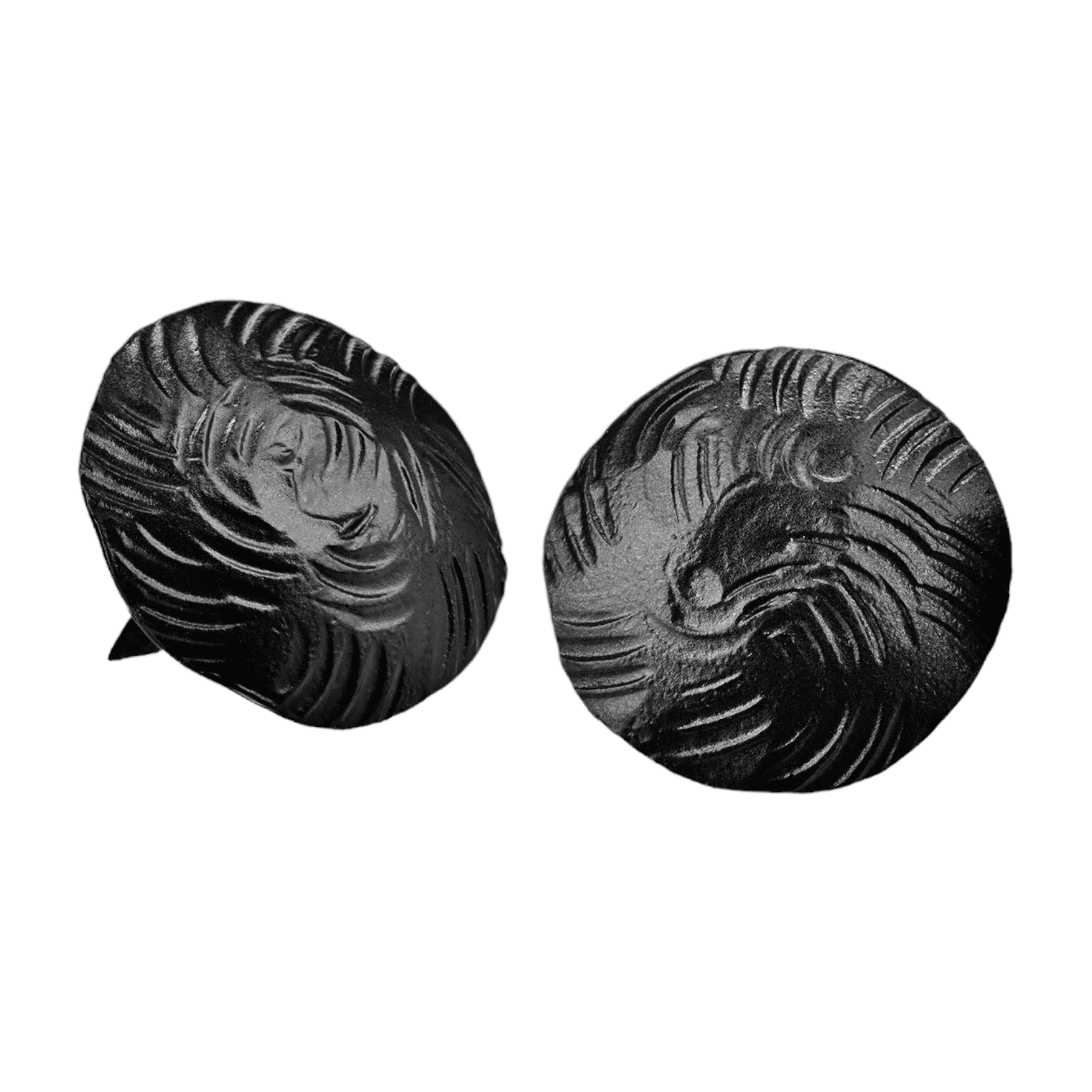 25 Pack 1 Inch Black Finish Decorative Door Nail Clavos By Borderland ...