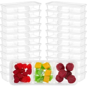 Disposable and Reusable Bento Boxes and Food Storage Containers