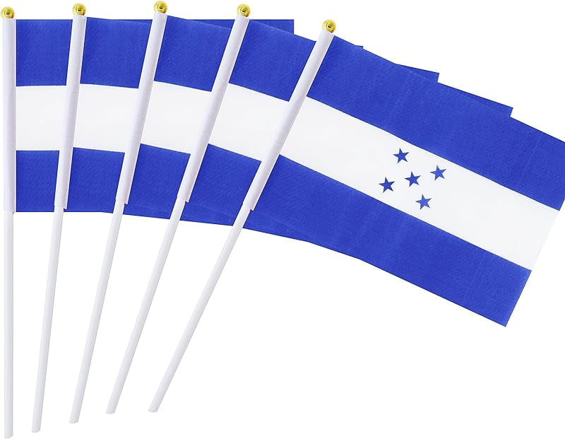 25 Pack Hand Held Small Mini Flag Palestine Flag Palestinian Flag Stick ...