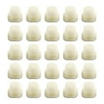 25 Pack Nylon Headlight Bezel And Grill Clips With #8 Or #10 Screw Nut ...