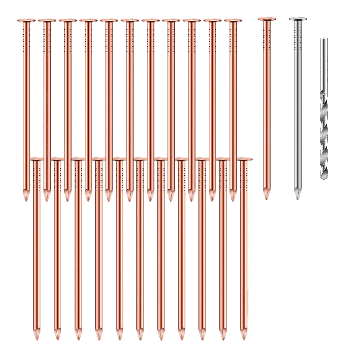25 Pcs Copper Nails to Killing Trees,3.5 Inch Pure Copper Nails Bulk ...
