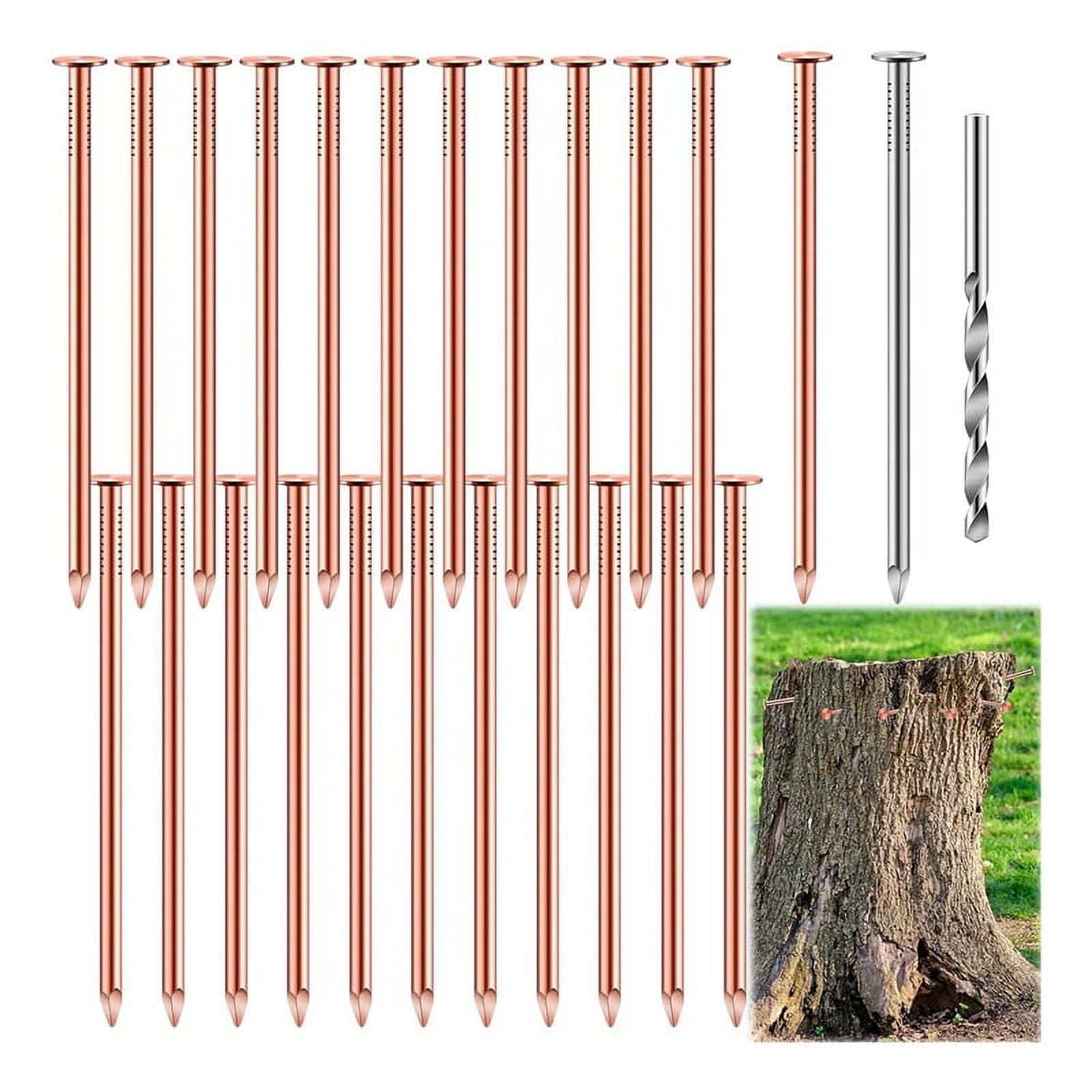 25 Pcs Copper Nails to Killing Trees,3.5 Inch Pure Copper Nails Bulk ...