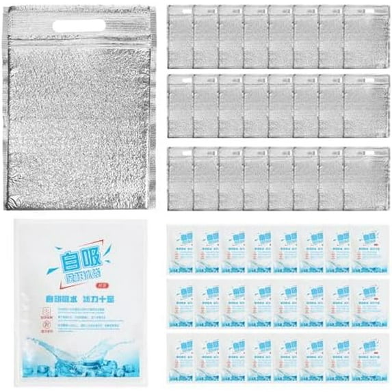 25 Pcs Insulated Thermal Bags with Zipper Handles & 25 Pcs Reusable Ice ...
