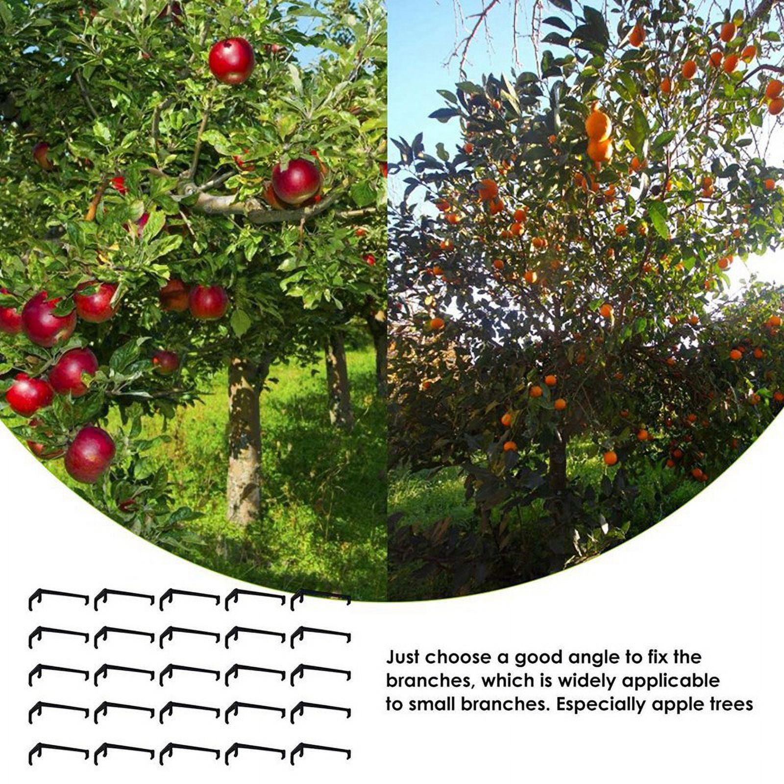 25 Pieces Tree Branch Spreader, Tree Branch Support Frame for Strong ...