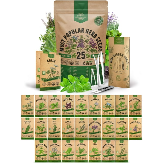 25 Most Popular Herb Seeds Variety BSL1 Pack - 11,700 Non-GMO Heirloom ...