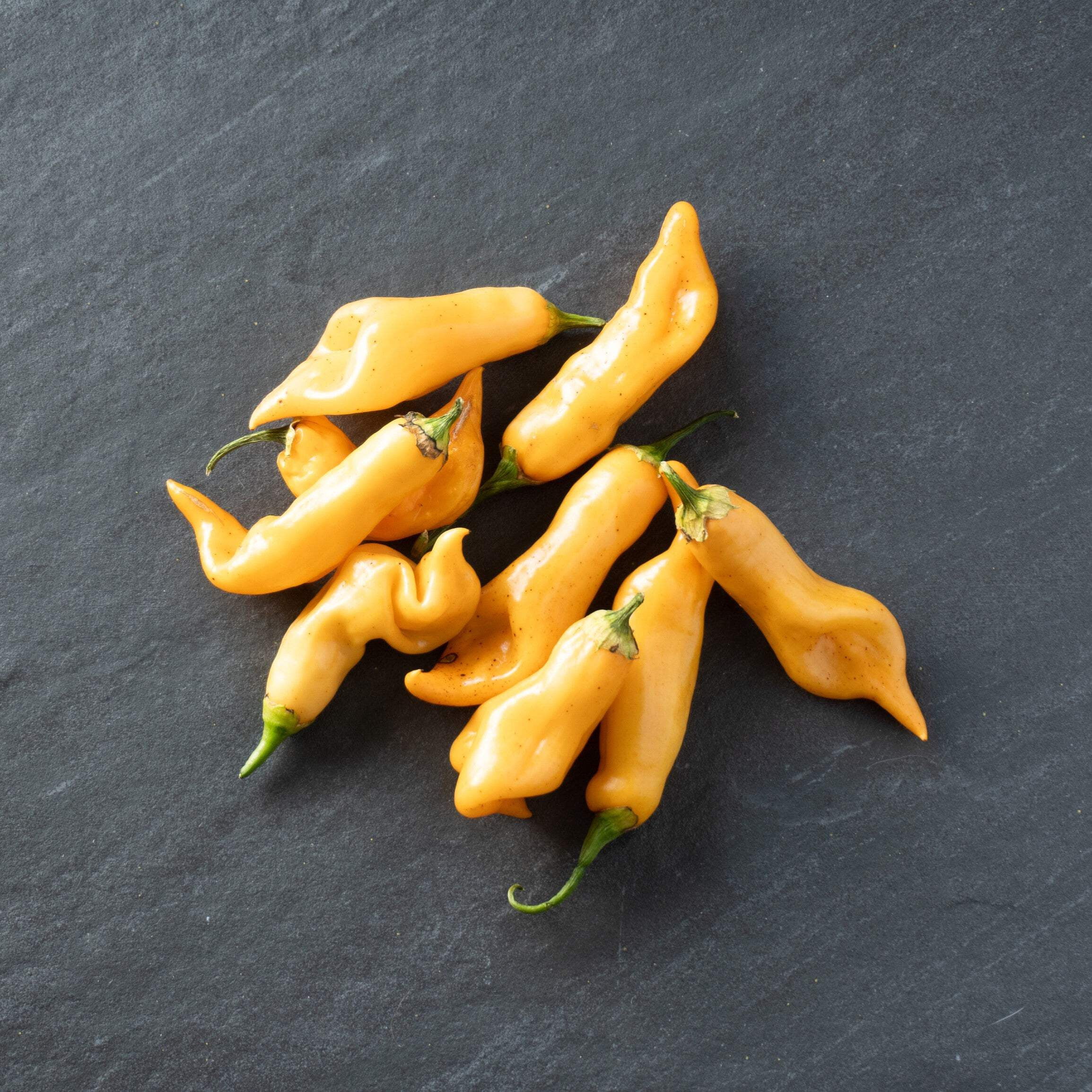 25 Seeds AJI SUGAR RUSH PEACH PEPPER Hot Sweet Fruity Capsicum Baccatum ...