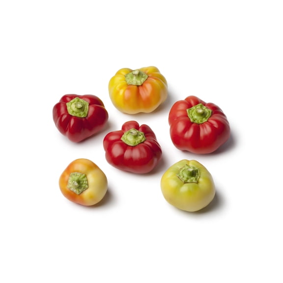 Paprika Seeds