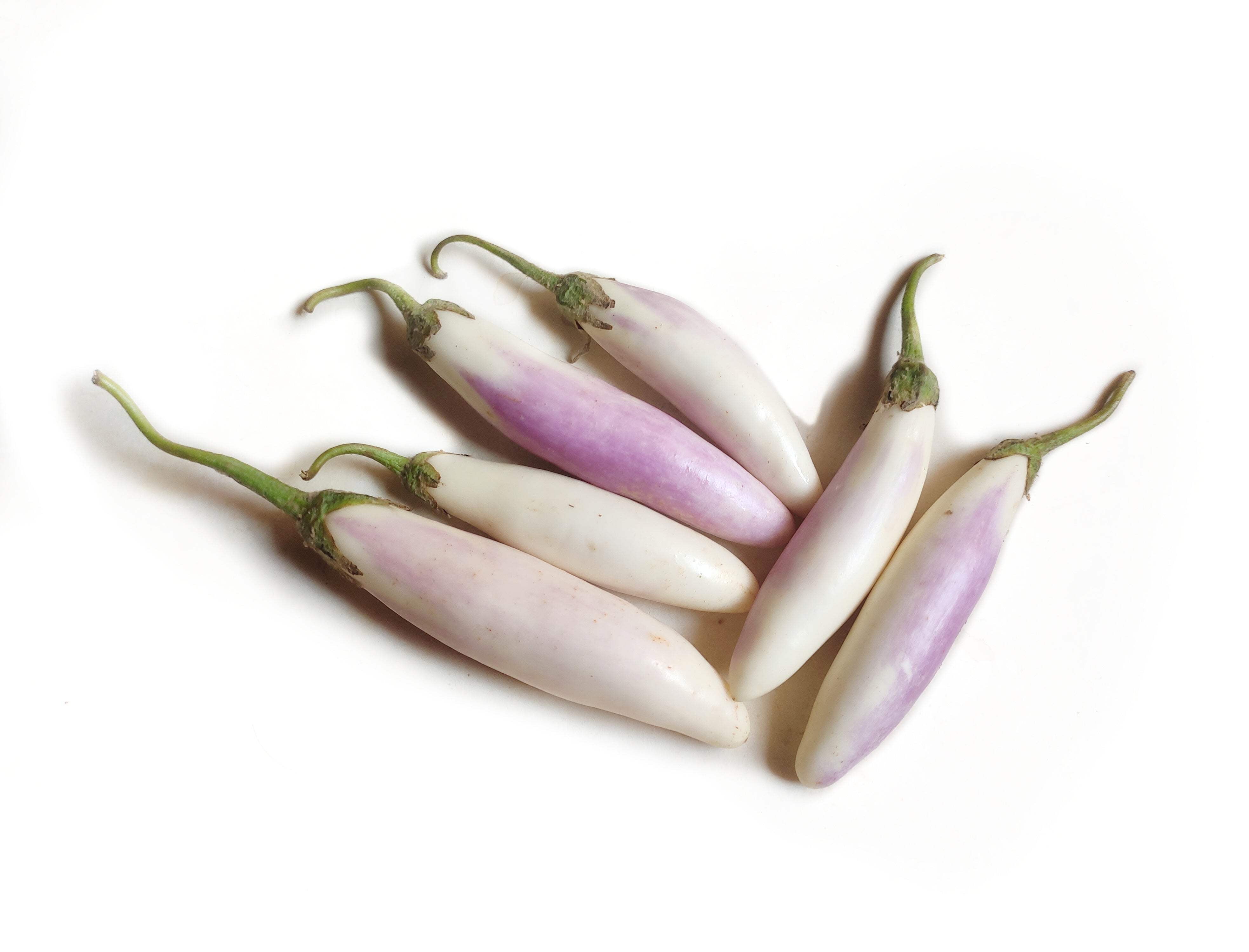 25 Seeds BRIDE EGGPLANT White & Purple Fruit / Vegetable Solanum ...
