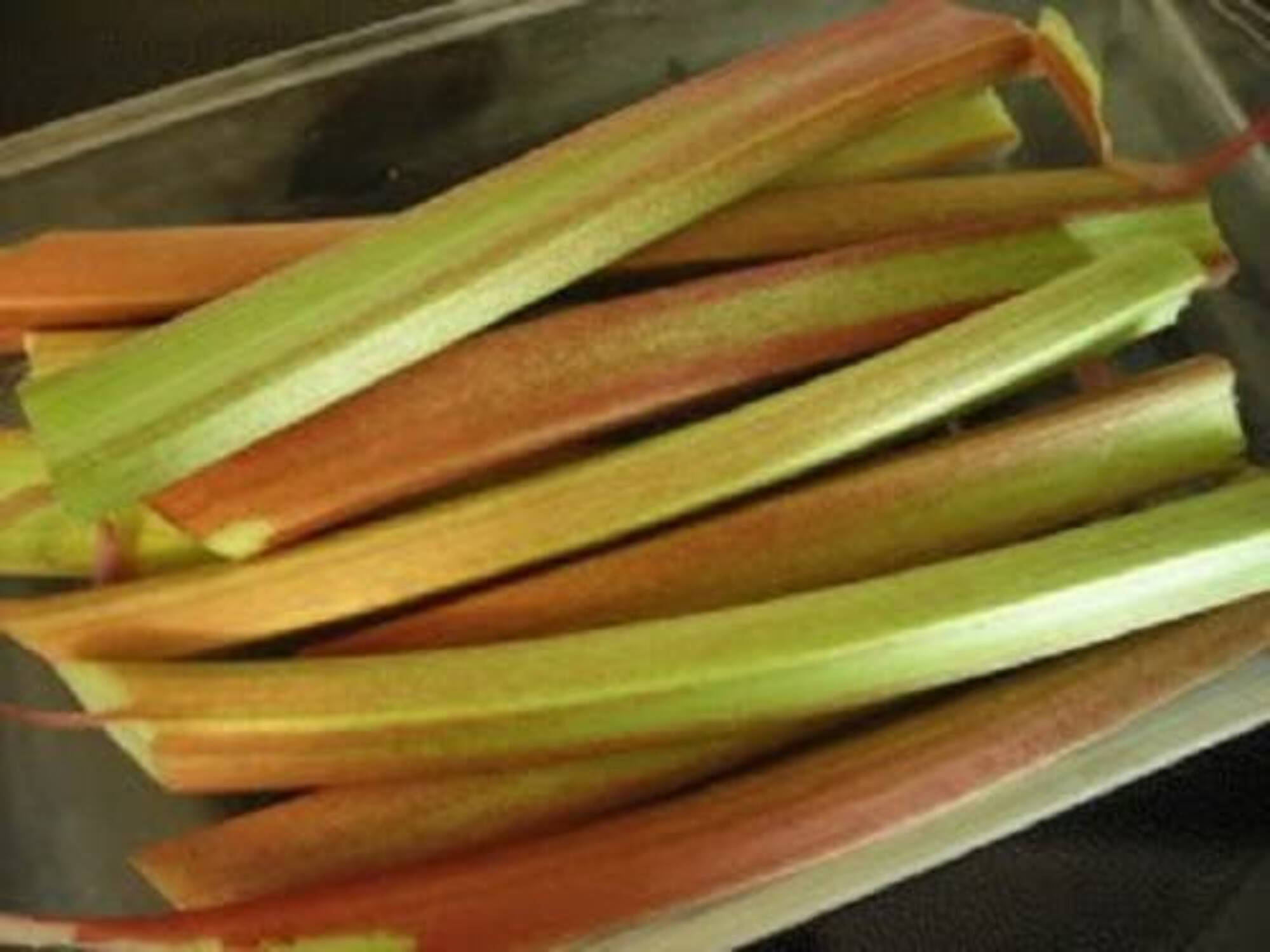 Seedville 25 Glaskins Perpetual Rhubarb Plant Seeds - Walmart.com
