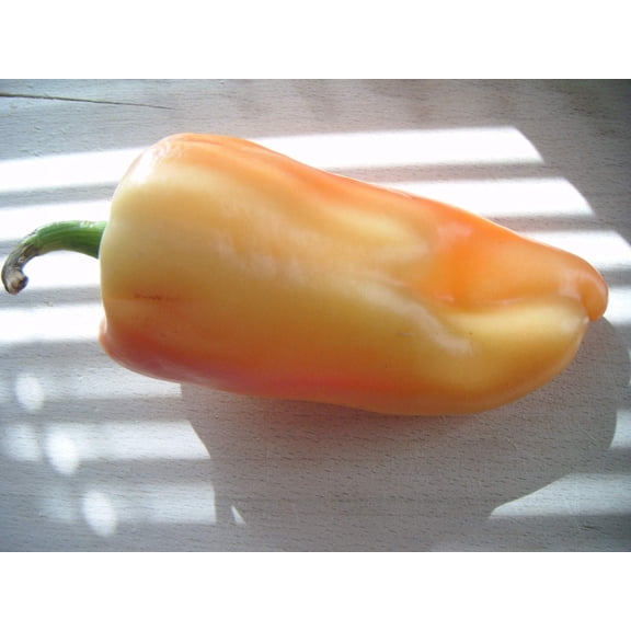 Paprika Seeds
