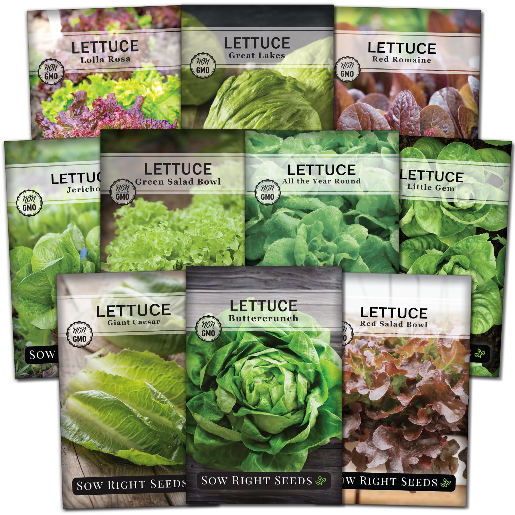 Sow Right SeedsITSC - Large Lettuce Seed Collection for Buttercrunch ...
