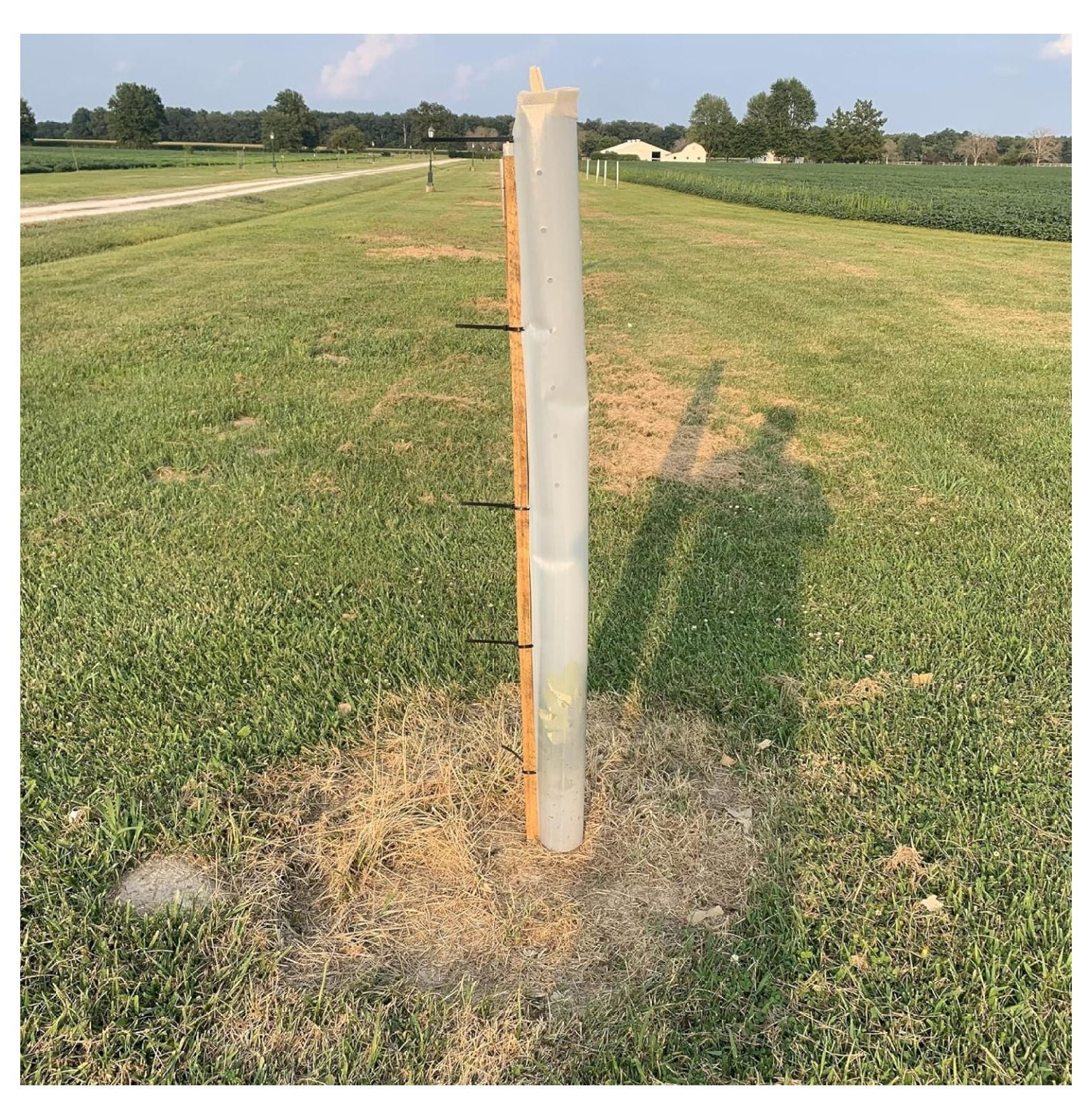 25 USA Made 60" Tube Tree PRO Shelters/Tree Protectors, Full Open for ...