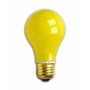 Warm Yellow Lighting