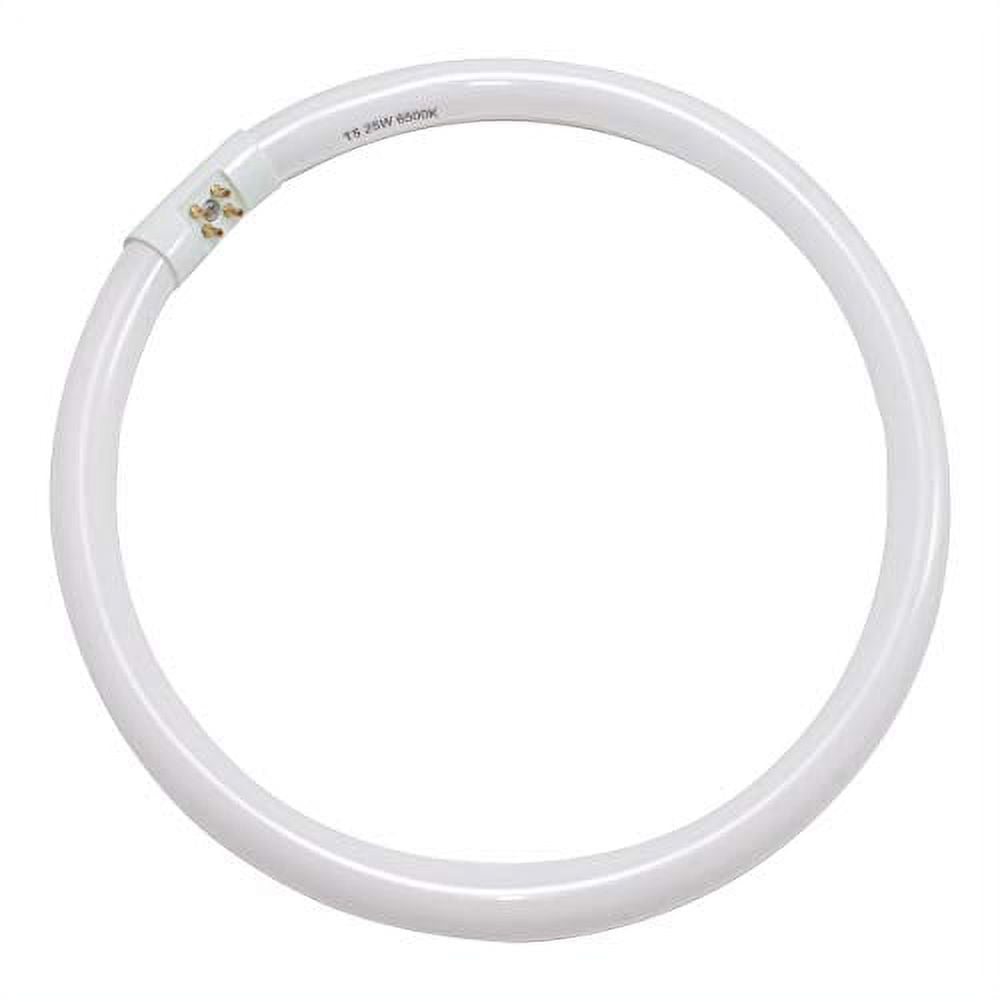 Ledu Fluorescent Lamp T5 25W 6500K Light Tube, Circular 25 Watt ...