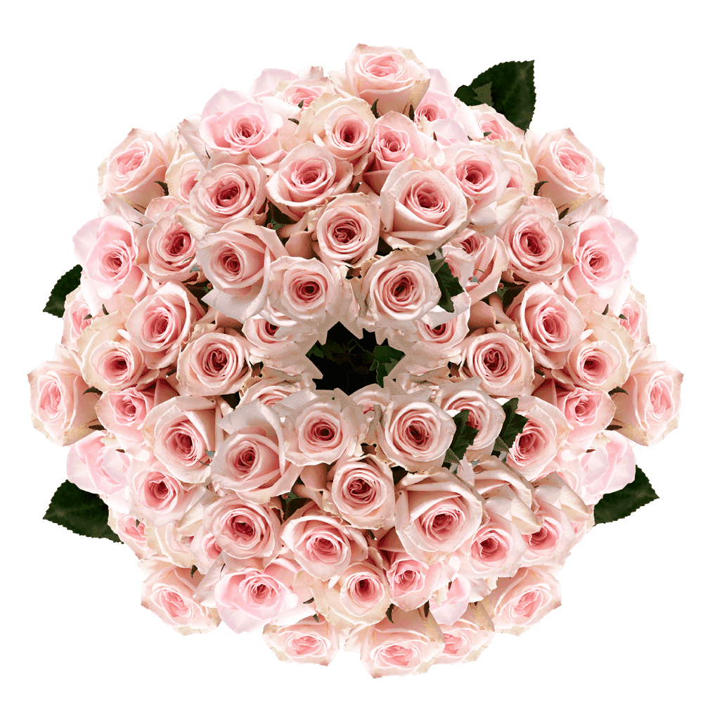 250 Assorted Pink Roses- Beautiful Fresh Cut Flowers- Express Delivery ...