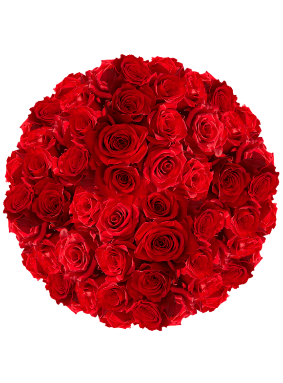 Roses in All Flowers - Walmart.com