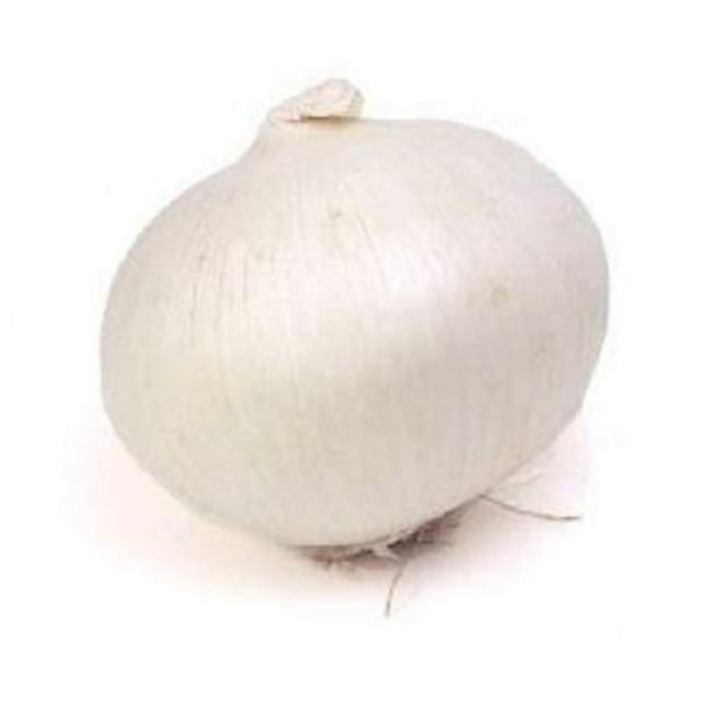 250 * Seeds ECLIPSE ONION White Sweet Allium Cepa Vegetable Seeds ...