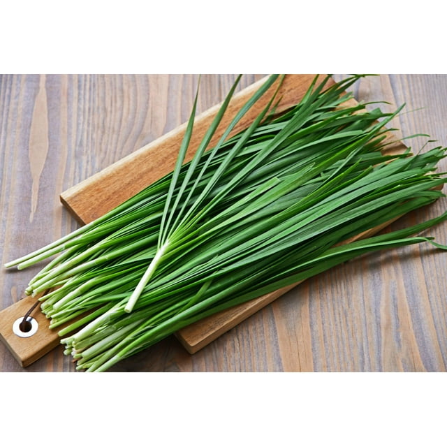 250 Seeds GARLIC CHIVE Allium Tuberosum Vegetable Seeds - Walmart.com